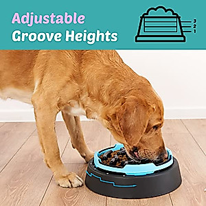 Paw Place Adjustable Dog Bowls Large Breed - Dog Bowl Slow Feeder Slow Eating Dog Bowl Slow Feed Dog Bowl Slow Dog Feeder Bowl