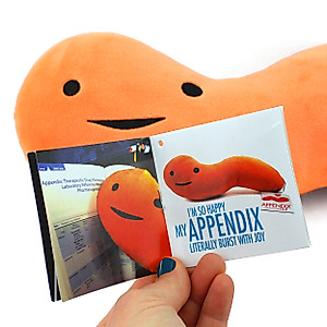 I Heart Guts Appendix Plush - Feel It In Your Gut - 14" Stuffed Organ Plush Toy, Appendix Removal Get Well Gifts, Ideal for Appendicitis, Kids, Nurses, Medical Students,Surgery