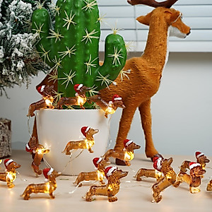 KAiSnova Dachshund Dog String Lights 10ft 30 LED Battery Operated Fairy Lights with Remote and Timer Dachshund Gifts for Women Christmas Lights for Indoor Outdoor Wedding Birthday Parties Xmas Tree