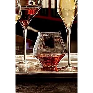 Luigi Bormioli Supremo 15.25 oz Pinot Noir Stemless Wine Glasses (Set of 2), Clear, 11281/02