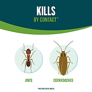 Ecologic Ant & Roach Killer, Indoor Defense, Also Kills Spiders & Crickets, (Aerosol Spray) 14 fl Ounce