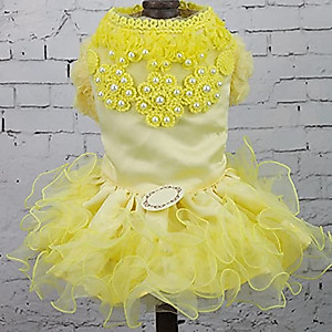 Pet Wedding Dress Round Neck Good Teddy Dog Lace Style Wedding Dress Pet Apparel Blue XL