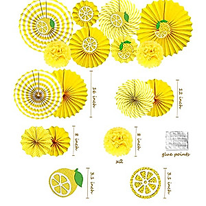 Lemon Bridal Shower Decorations, Homond Party She Found Her Main Squeeze Banner Cake Cupcake Toppers, Fruits Theme Supplies Kit, Paper Fans Balloons for Lemonade Citrus Party, Yellow