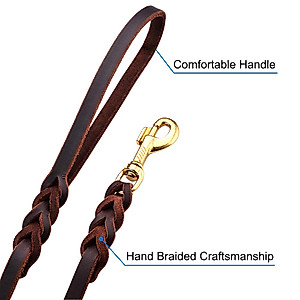 Leather Dog Collar for Medium Dogs with Braided Leather Dog Leash 6 Foot x 1/2"