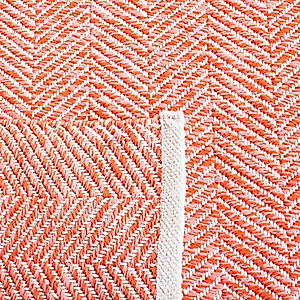 SAFAVIEH Nantucket Collection 4' x 6' Rust NAN144P Handmade Cotton Area Rug