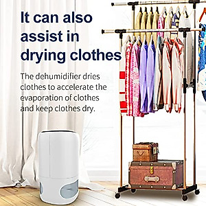 Dehumidifier And Air Purifier Combo，Depulat Small Dehumidifiers For Home Quiet With Auto Shut Off, Dehumidifiers for Bedroom (270 sq. ft), Bathroom, RV, Closet