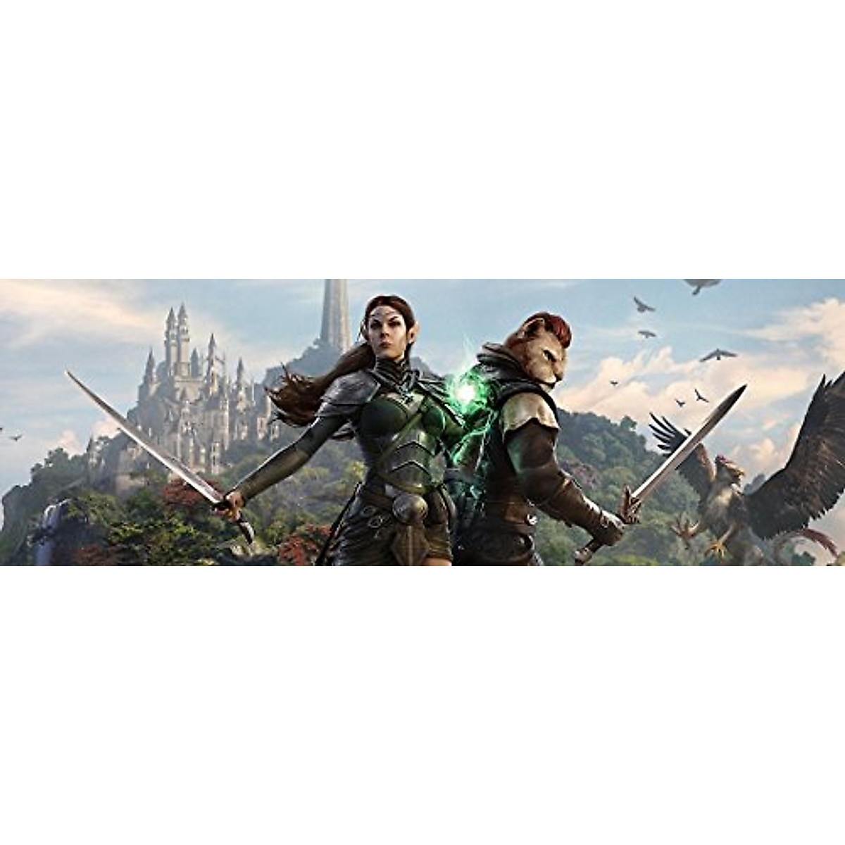 Elder Scrolls Online: Summerset (Xbox One)