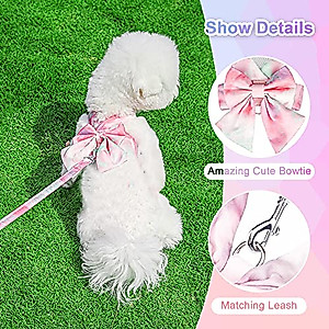 PETCARE Cute Bow Tie Dog Harness and Leash Set Elegant Rainbow Gradient Puppy Harness No Pull Soft Mesh Pet Cat Dog Vest Harnesses for Small Dogs Cats, Pink