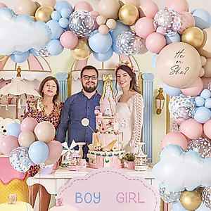 Amandir 185Pcs Gender Reveal Decorations, Double-Stuffed Pastel Pink and Blue Brown Nude Balloon Arch Kit White Cloud Hanging Moon&Star Garland Boho Neutral Boy or Girl Bear Baby Shower Party Supplies