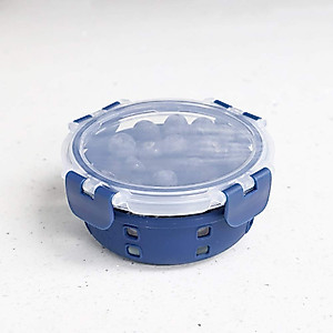 Home Basics B08NK8YP7N Food Storage Container, 13 Ounce, Indigo