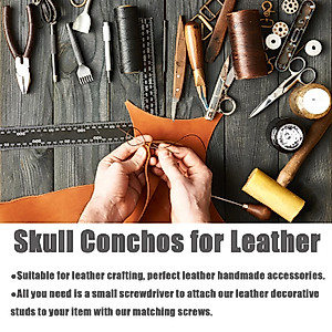 Kesvila 10PCS Skull Head Decorative Buckle Skull Conchos for Leather Screw Back for Bag Leather Belt DIY Craft Making (Antique Silver)