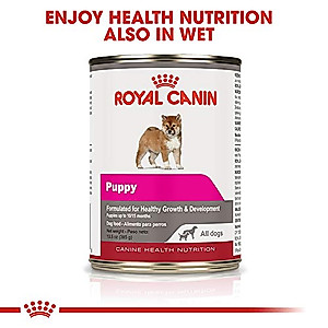 Royal Canin Giant Junior Dry Puppy Food, 30 lb bag