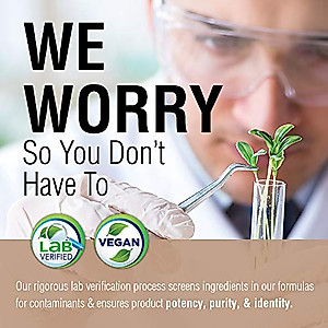 SOLARAY Fermented Reishi Mushroom 500mg | Healthy Immune, Heart & Brain Function Support | Energy & Mood Supplement | 60 VegCaps