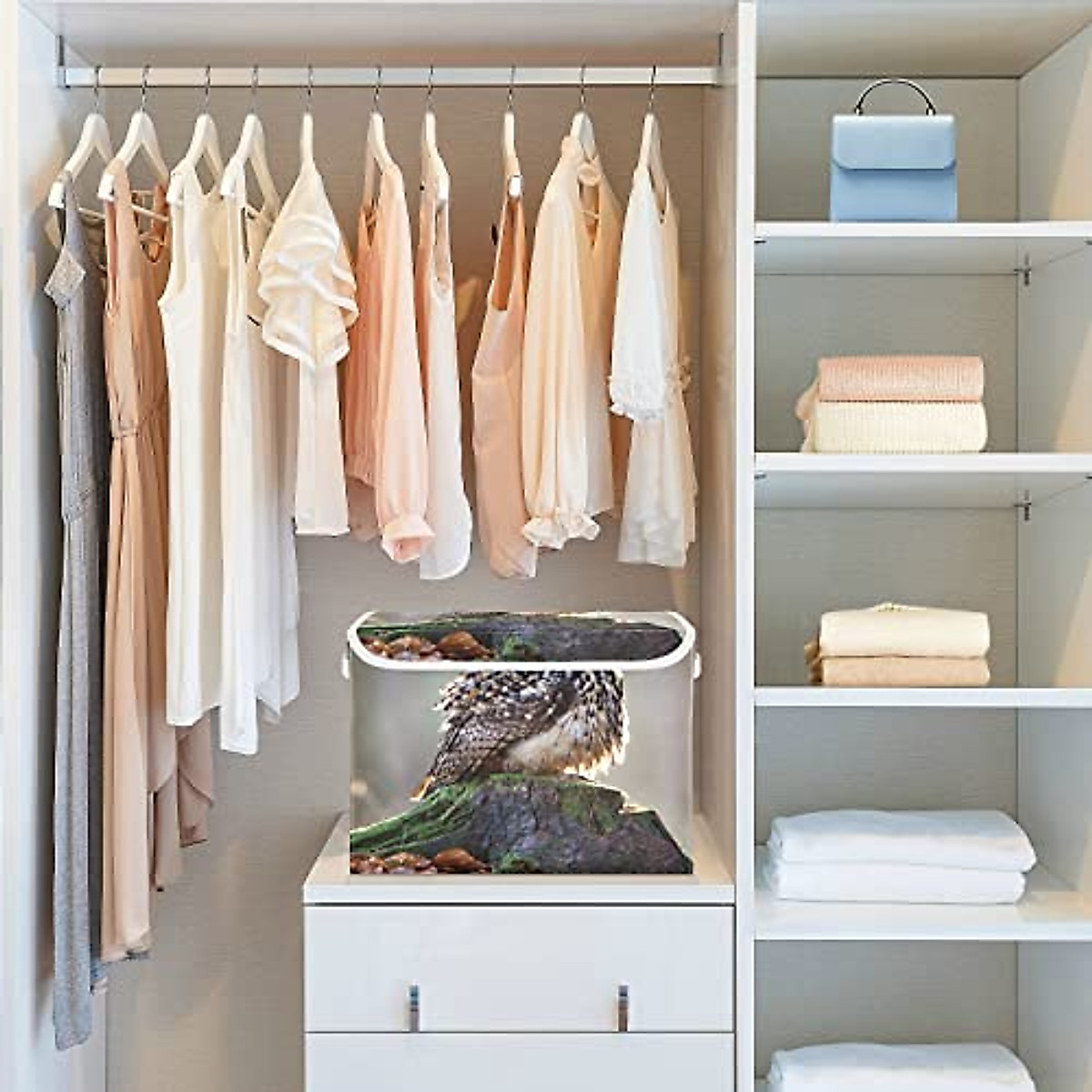 Kigai Storage Basket Cute Owl Storage Boxes with Lids and Handle, Large Storage Cube Bin Collapsible for Shelves Closet Bedroom Living Room, 16.5x12.6x11.8 In