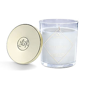 LEVITATE | Everyday Essentials 10oz Scented Candles (Milk & Honey)