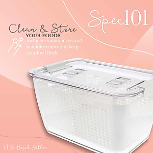 Spec101 Plastic Food Storage 10in - Kitchen Strainer Container with Lid, Large Fridge Containers for Fruits, Vegetables