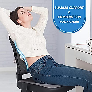 LumbarPal Lumbar Support Pillow for Office Chair Back Support Lumbar Pillow for Car, Gaming, Office Chair - Improve Sitting Posture & Back Pain Relief, Memory Foam, Adjustable Straps, Grey