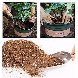 6 Qt Potting Soil, Organic Potting Mix for Indoor and Outdoor Plants, Succulent and Cactus Soil Potting Mix with Fast Draining Formula Natural Mixture Bonsai Soil for Plant Fast Growing