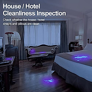 Vansky Black Light UV Flashlights, Ultra Bright 100 LED 395nm Ultraviolet Blacklight Detector for Dog Cat Pet Urine, Dry Stains and Bed Bug, Matching with Pet Odor Eliminator