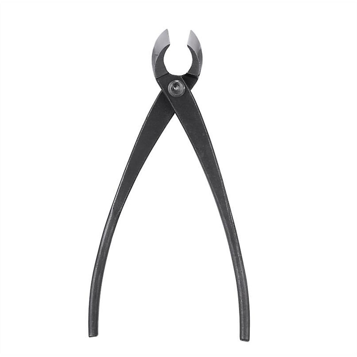 Garden Clipper 205mm 8 inch Garden Branch Cutter Forged Steel Round Edge Beginner Scissors Cutter Bonsai Tools