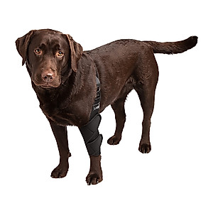 Labra Dog Canine K9 Shoulder Elbow Callus Pain Relief Brace - Hot Spot Hygroma Hotspot Wound Chewing Protector Wrap For Arthritis, Sprained, Injured Joints Vet Approved - Large, Right Leg