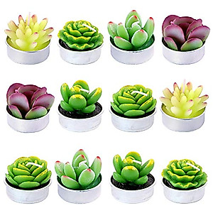 Swpeet 12Pcs Decorative Succulent Cactus Tealight Candles Kit, Cute Smokeless Succulent Plants Perfect for Candles Festival Wedding Props and House-Warming Party (N0.5-Candle)