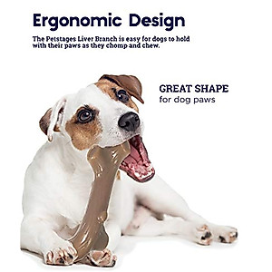 Petstages NewHide Alternative Dog Chew Toy, Large