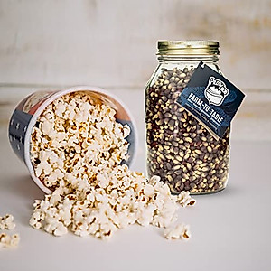 Pilot Knob Comforts Blue Bounty Gourmet Popcorn Kernels for Popcorn Machines, Microwave and Air Popper Popcorn Maker – Non-GMO, Fresh Heirloom Hull-Less Popcorn Seeds, Gift Set – 3 Jars (32 Oz Each)