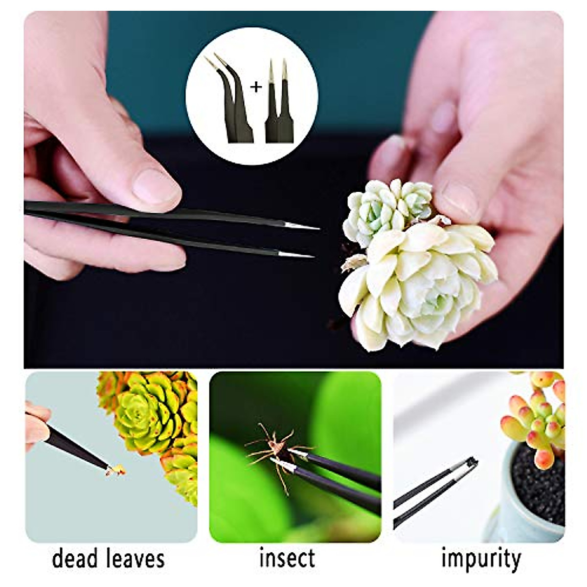 Wobodan 12 Pcs Succulent Tools Set Mini Transplanting Garden Tools Kit for Indoor Gardening Flower Pot Cactus Care
