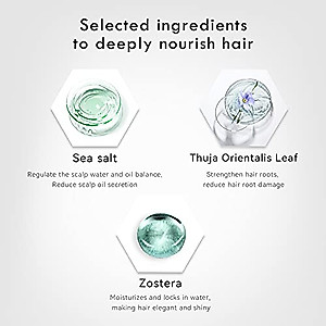 Kimtrue Amino acid Shampoo with Sea Salt,sulfate free hair shampoo for oily hair and itchy scalp Anti dandruff oil control Repair (16.91 Fl Oz (Pack of 1), For Oil Hair)