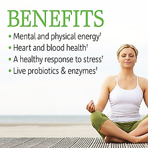 Garden of Life Raw B Complex - Vitamin Code - 60 Vegan Capsules, High Potency Vitamins for Energy & Metabolism with B2 Riboflavin, B1, B3, B6, Folate, B12 as Methylcobalamin & Biotin Plus Probiotics