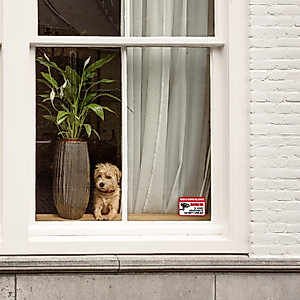 Sigo Signs 24 Hour Video Surveillance Sign, 6 Pack, 4 Mil Sleek Vinyl Decal Stickers Weather Resistant Long Lasting UV Protected and Waterproof Made in USA