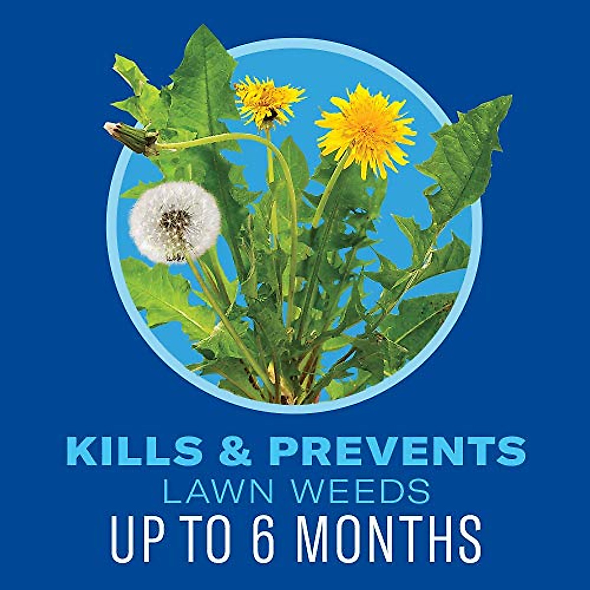 BioAdvanced 5 In 1 Weed and Feed, Granules, 9.6LB