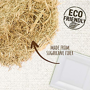 brheez 6-in Disposable Plates (60 Pack) - Eco-Friendly, Compostable Heavy Duty Square Paper Plates - 100% Natural Sugarcane Bagasse Fibre
