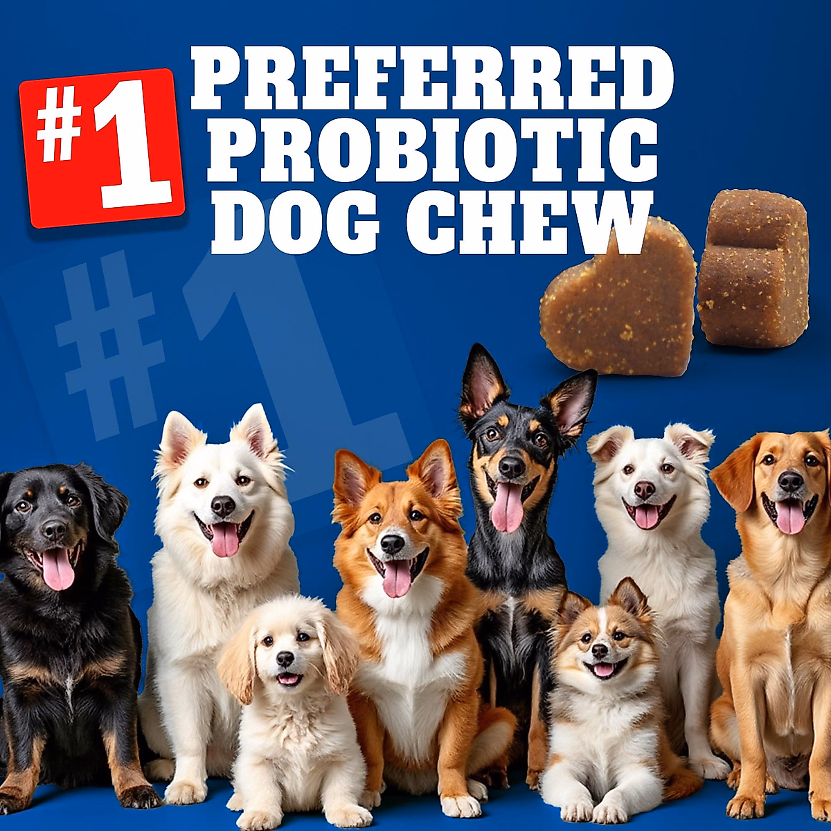 Probiotics for Dogs (1 Chew Per Day - 30 Day Supply) Soft Chews for Dog Digestive Health Prevents Diarrhea, Allergies. Probiotic for Healthy Stomach, Gut & Overall Wellbeing