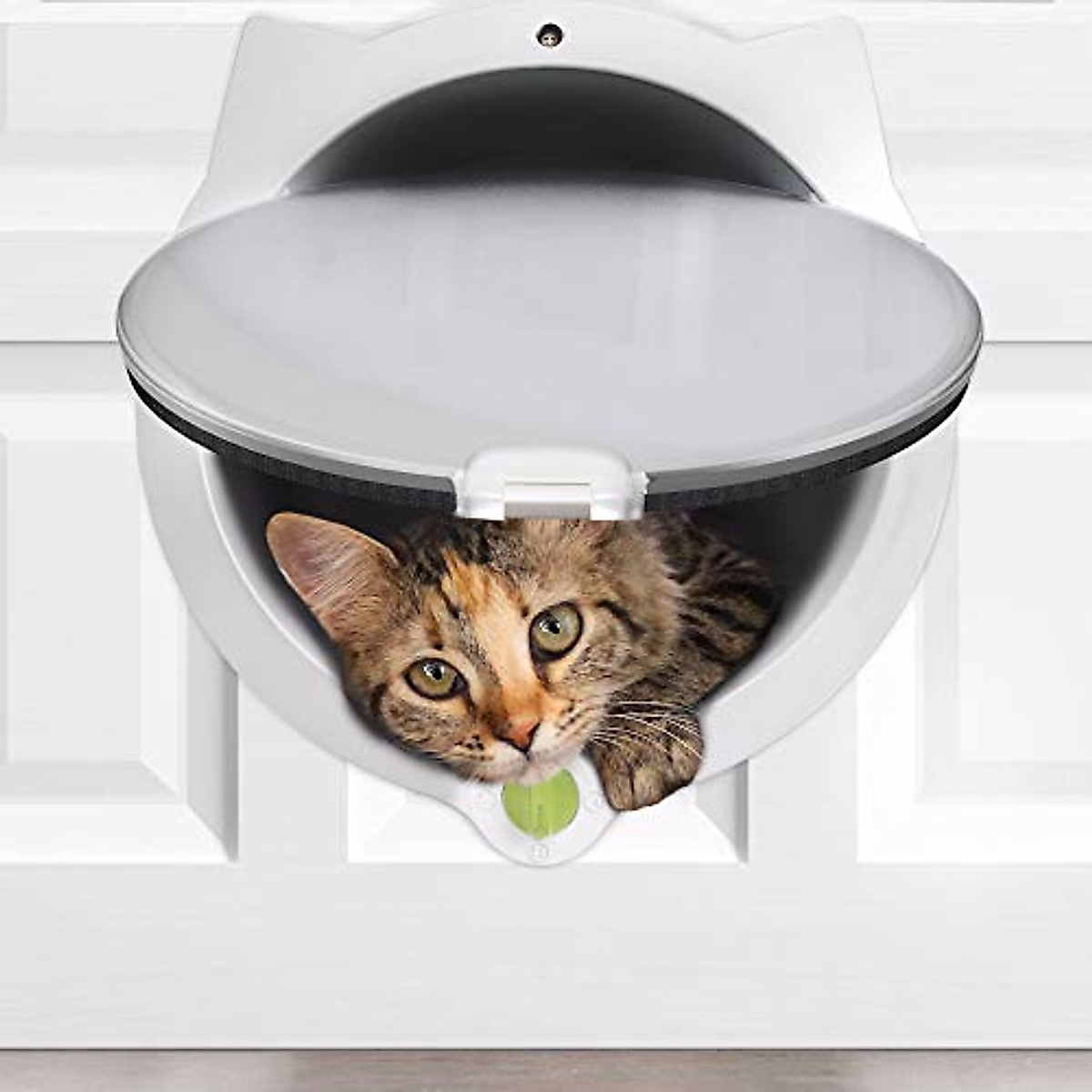 LYNX Cat Door for Pets – 4 Way Locking Cat Flap - for Interior Doors & Exterior Doors