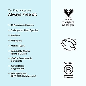 Skylar Sun Shower Eau de Parfum - Hypoallergenic & Clean Perfume for Women & Men, Vegan & Safe for Sensitive Skin - Woody Citrus Perfume with Notes of Lemon, Jasmine & Meadow Greens - 10mL /0.33 Fl oz