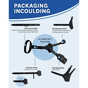 MerryMilo dog knee brace for torn acl hind leg -Upgraded Anti-Slip, Support for Cruciate Ligament Injury, Arthritis, Joint Pain, Muscle Sore, CCL Brace(Size: L, Left Leg)