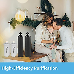 SUPER.BDACC Gravity Water Filter Replacement,for Berkey® Black Carbon (BB9-2®) Purification Elements and Fluoride Filters K5366 (PF-2®) Combo Pack,Compatible with Berkey® Filtration System,Pack of 4