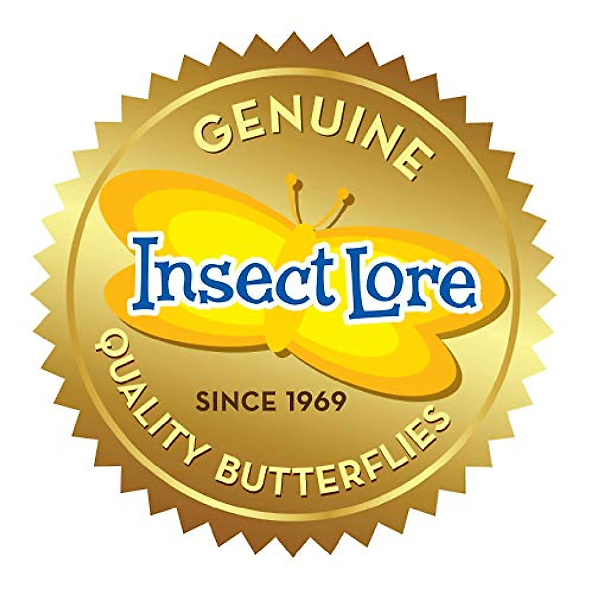 Two Cups of Caterpillars and Butterfly Figurines - Life Science & STEM Education - Butterfly Kit Refill - Painted Lady Butterflies - Butterfly Lifecycle Observation