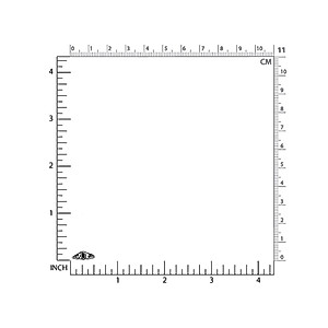 Silvershake Petite Created Black Onyx Inlay 925 Sterling Silver Filigree Swirl and Spiral Style Ring Size 6