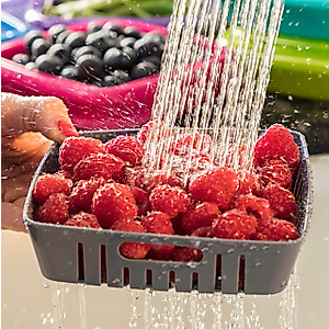 Hutzler Bitty Box Berry Keeper, 9 oz, purple (73PU)