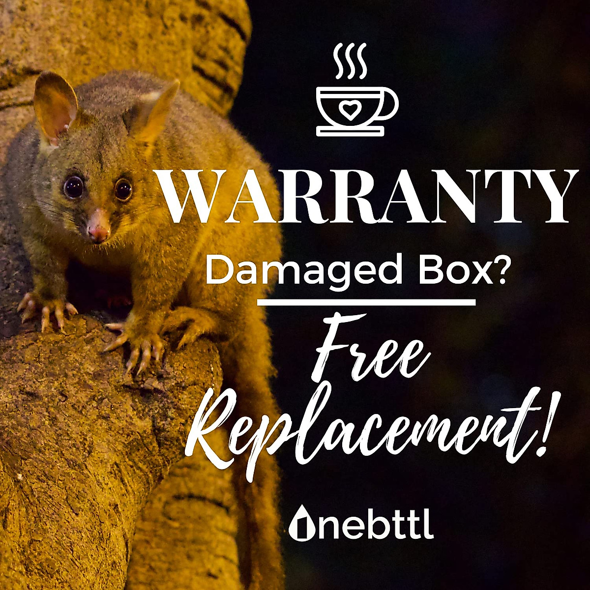 Funny Possum Gifts for Women & Men, Unique Gifts for Possum Lover, Possum 12oz Wine Tumbler with Spill-Proof Lid, Opossum Gifts, Gift Box Included - Let's Eat Trash And Get Hit By A Car