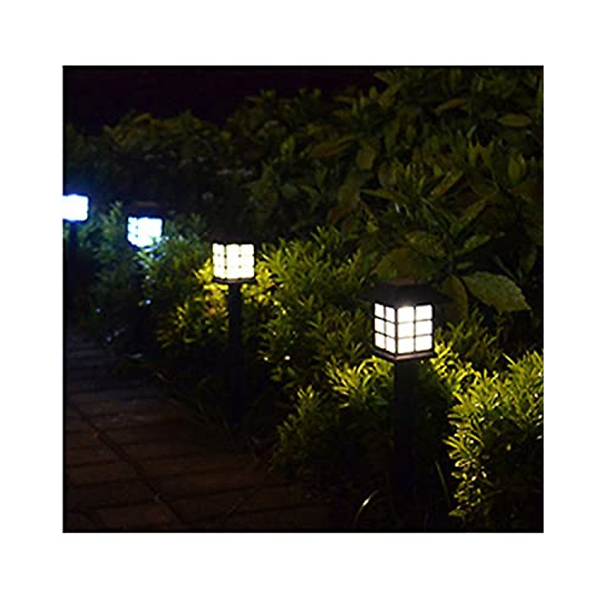 NEWOTE Outdoor Solar Pathway Lights Waterproof 2-Packs Outside LED Decorative Lights Landscape Lighting for Yard Patio Driveway Garden (White)