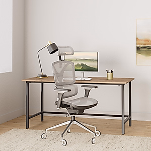 Nouhaus Ergonomic Office Chair Lumbar Support Aluminum Alloy Backrest, Big and Tall Mesh Computer Desk Chair with Adjustable Headrest, 4D Armrest and Premium Wheels(ErgoPRO,Silver)