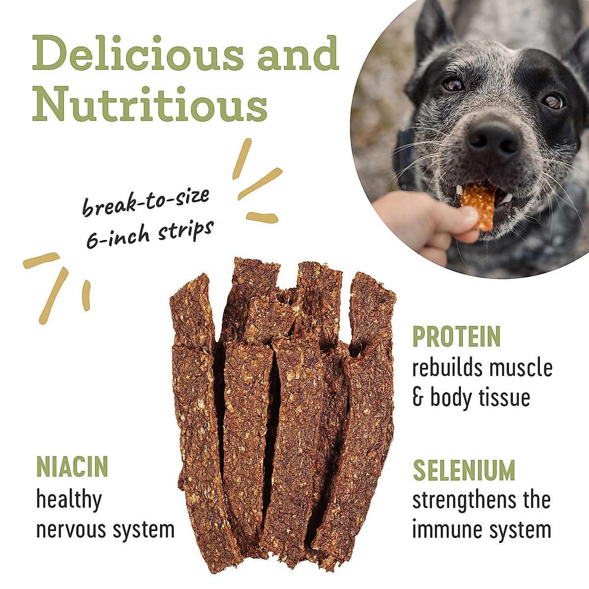 Farm Hounds - Chicken Strips - Premium Natural Chicken Jerky For Dogs - From 100% Humanely Raised Chicken - Break-To-Size - Great For Training & Treats - No Added Fillers - Made in USA -4.5oz - 1 Pack