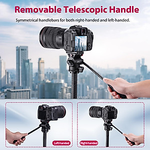 ULANZI U210 Tripod Fluid Head, Mini Pan Tilt Head w Handle,Built-in 1/4'' & 3/8'' Adapter, Panoramic Ball Head w Arca Swiss Quick Release Plate Lightweight for Compact Camera Load up to 11.02 lb/5kg