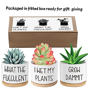 Funny Succulent Pots, 3.15 inch Ceramic Flower Plant Pots with Bamboo Tray, Cute Cactus Planters with Drainage Hole, Birthday Gifts for Women, Plant Lover Gifts, Pack of 3 - Plants Not Included