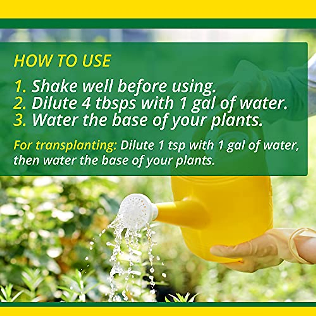 SUPERthrive Liquid Organic All Purpose Plant Food 1 qt.