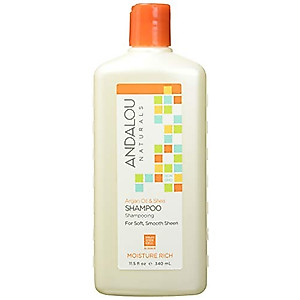 Andalou Naturals Argan Oil & Shea Moisture Rich Shampoo, Orange, 11.5 Ounce